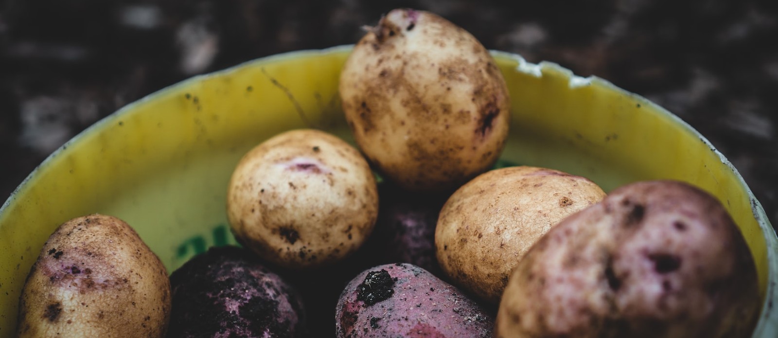 Potatoes! Are you an expert on the world's most versatile food ...